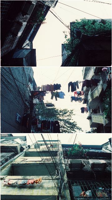 Film điện ảnh Kodak Vision 2 - 500T (outdate) | Shopee Việt Nam