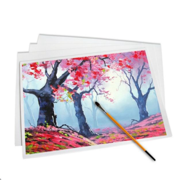 [MiChi Art] Giấy vẽ màu bột Aowen - Giấy canvas vẽ màu gouache, màu ...