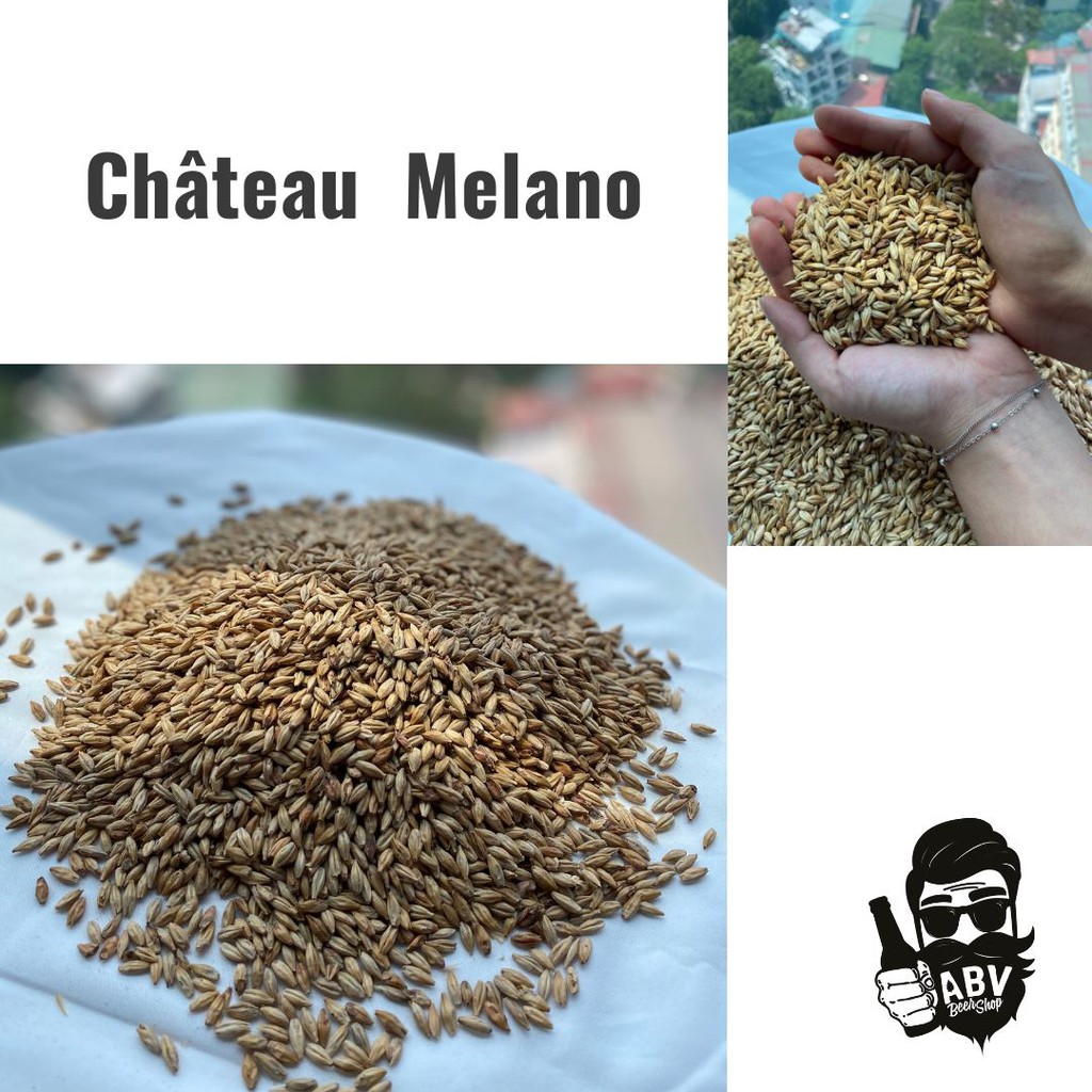 Malt nấu bia Château Melano | Shopee Việt Nam