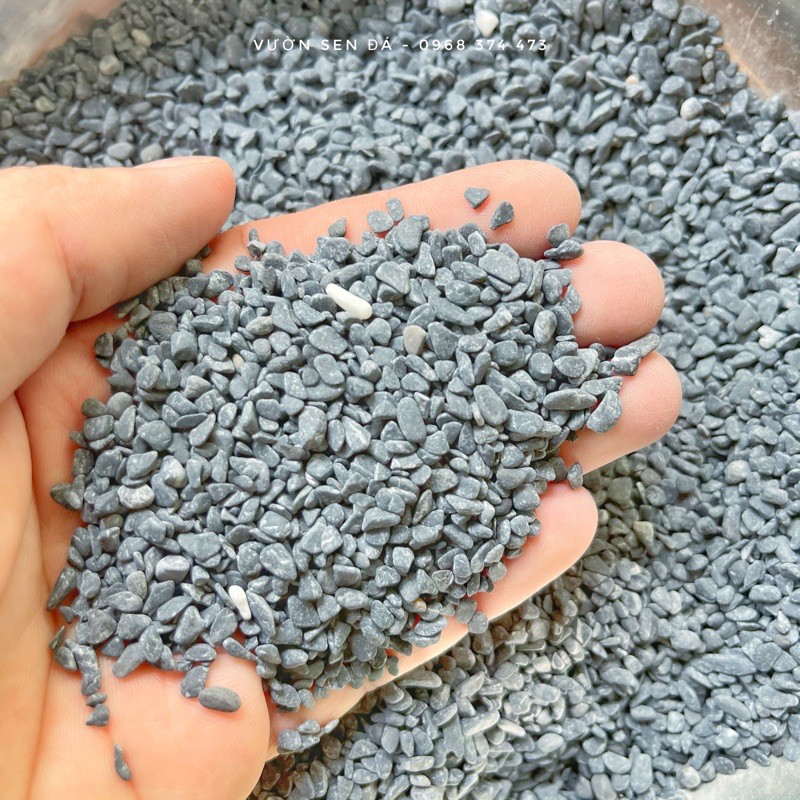 Sỏi xanh 2-3mm (1kg) - Vườn sen đá | Shopee Việt Nam