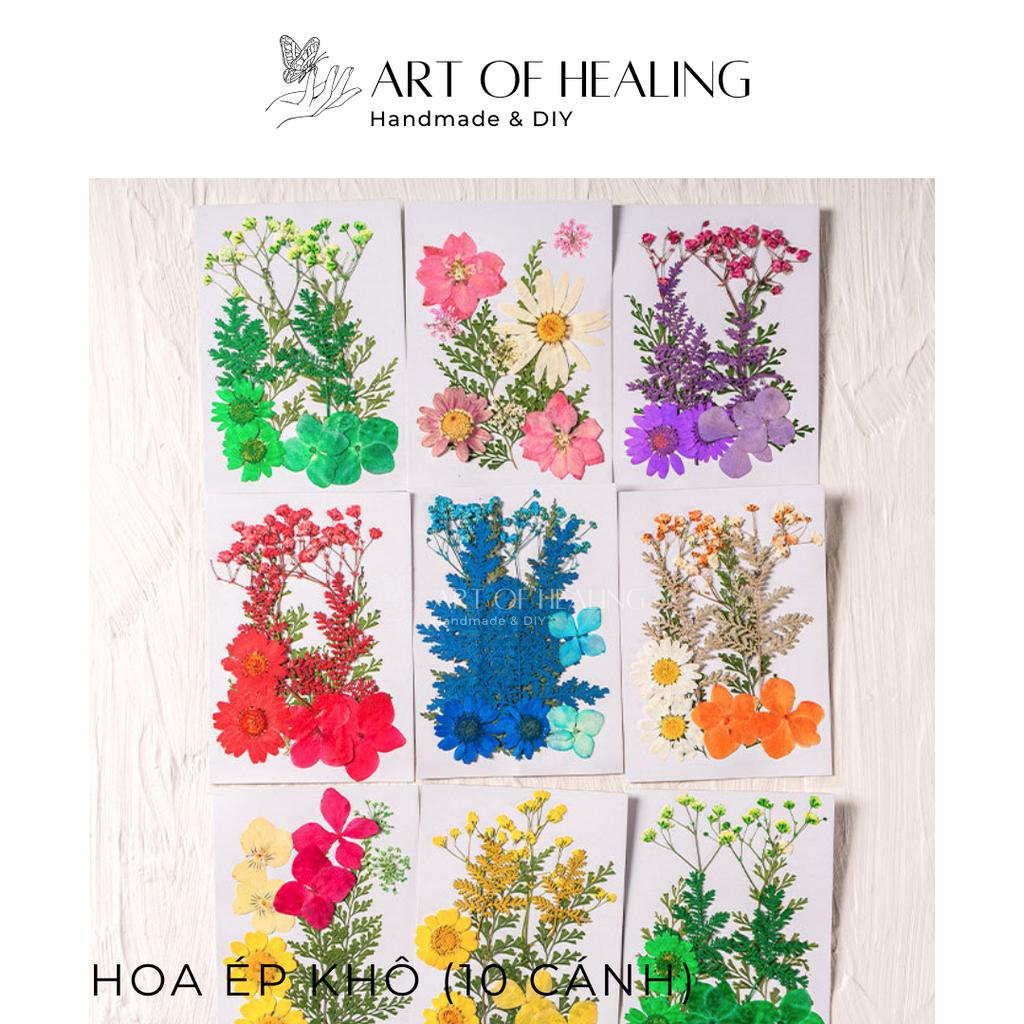 [AOH - Art of Healing] Set hoa ép khô các loại trang trí nến, resin, sổ ...