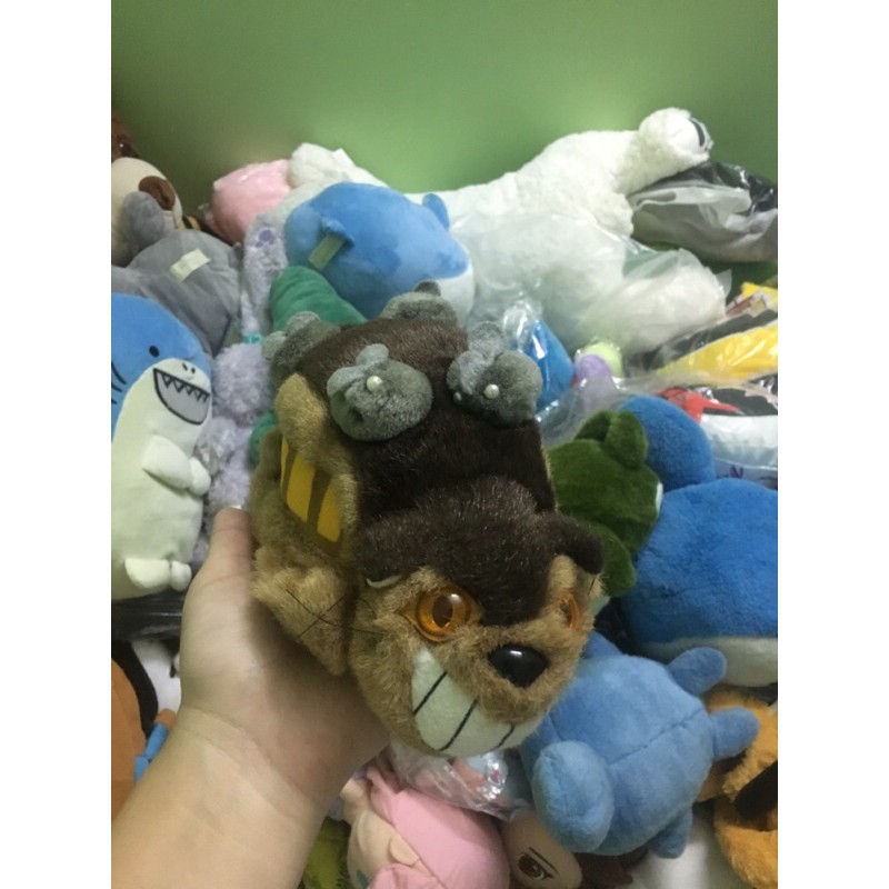 bán mèo totoro | Shopee Việt Nam