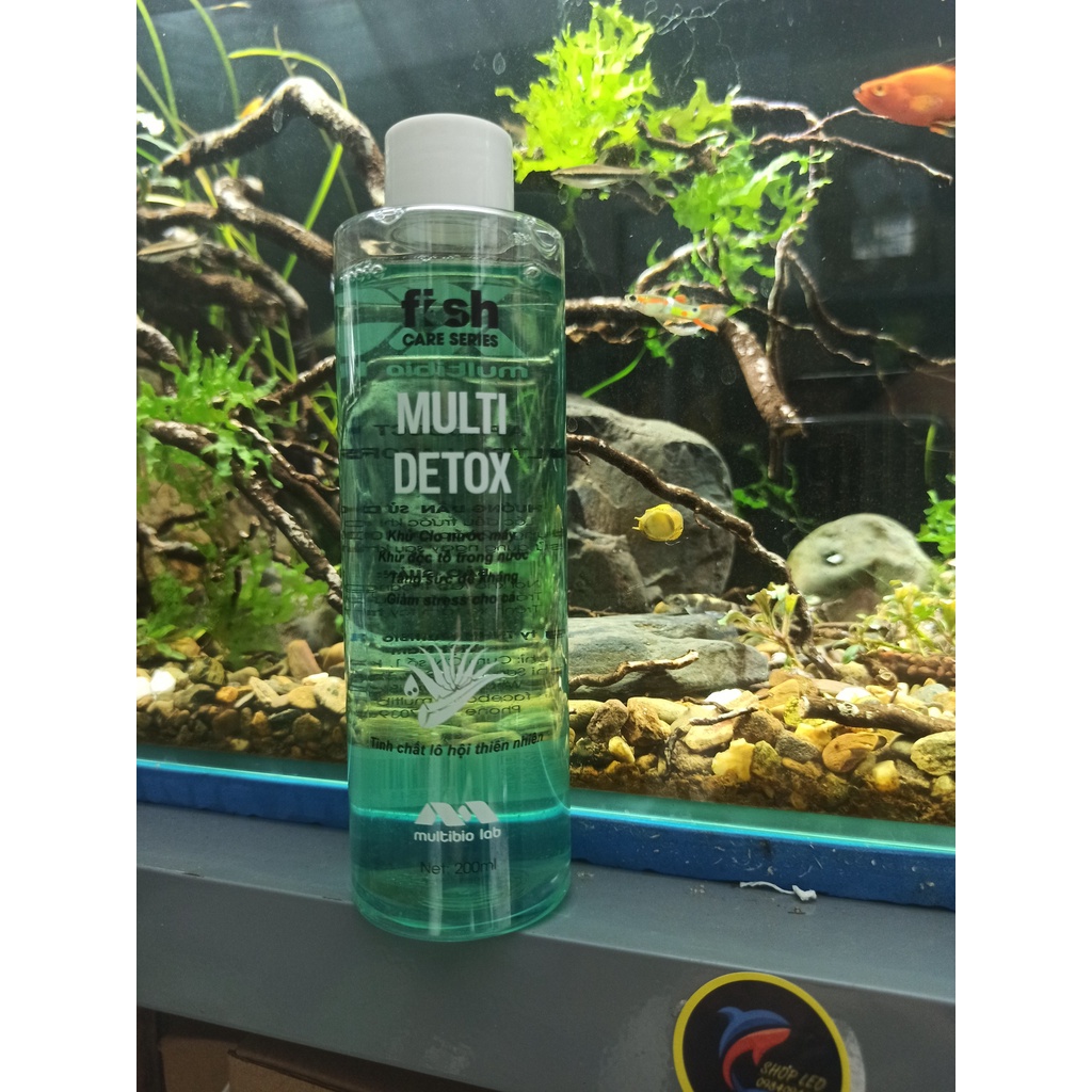 Multibio- clear Water- multi Detox-Vi Sinh-Làm Trong Nước Nhanh-Khử Độc ...