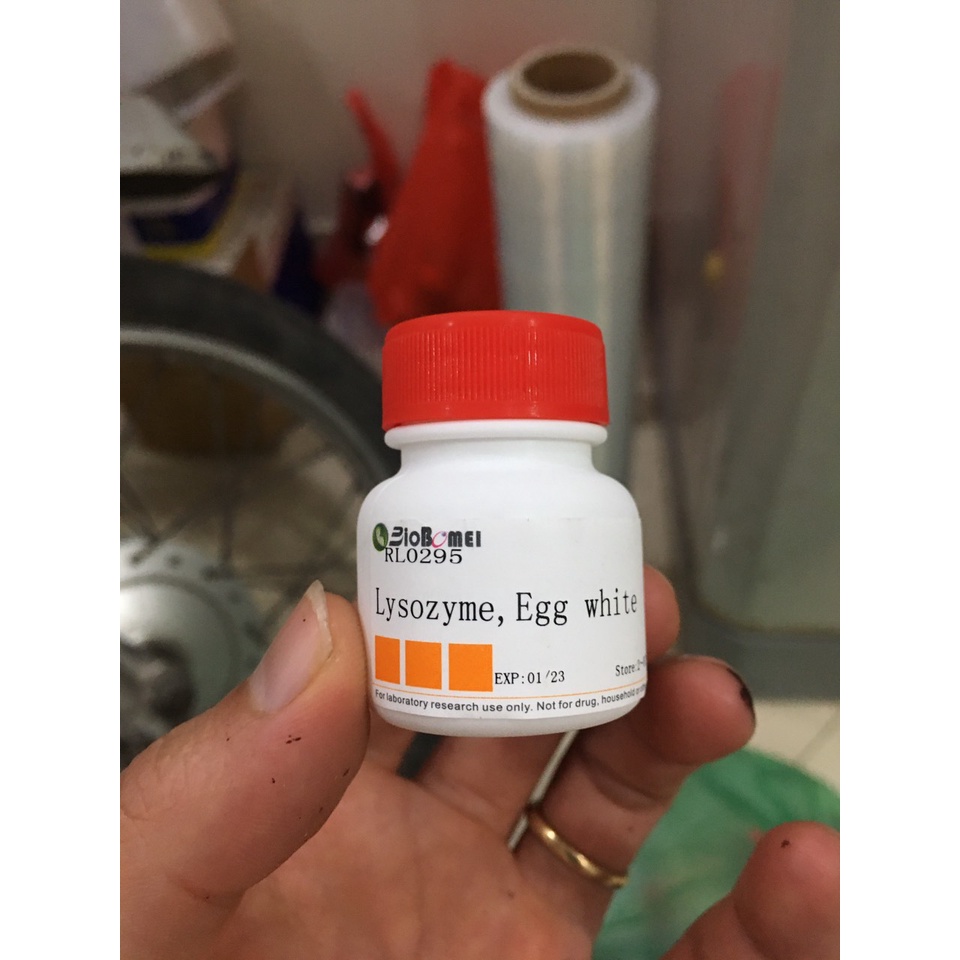Hóa chât Lysozyme from chicken egg white CAS 9001-63-2, lọ 5g | Shopee Việt Nam