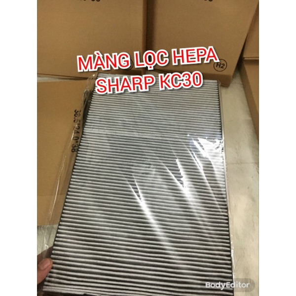 Màng Lọc HEPA Máy Lọc Sharp - S30 (kích thước 380x234x32mm) | Shopee ...