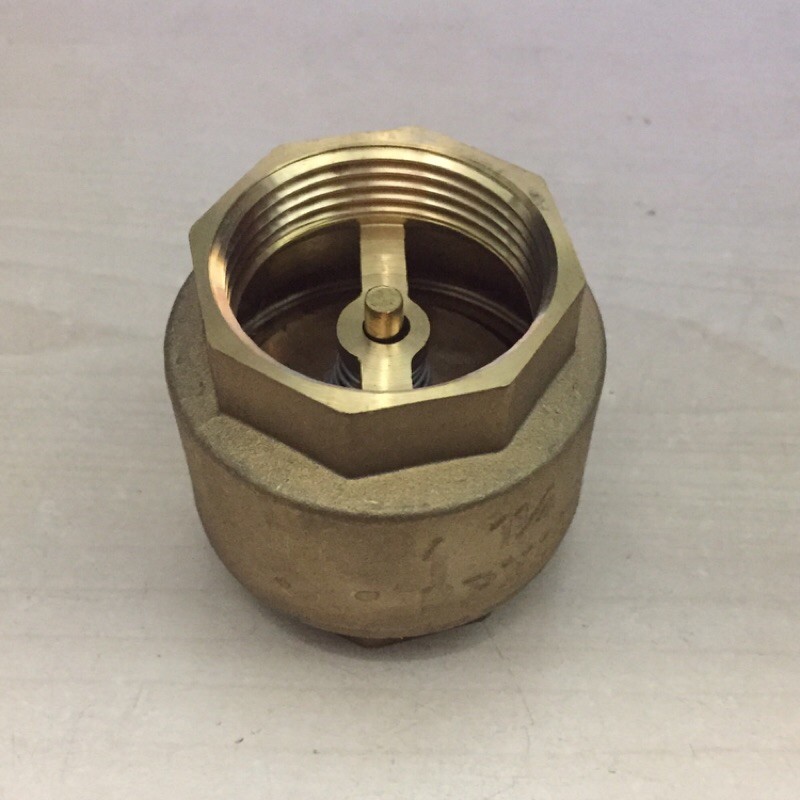 VAN MỘT CHIỀU LÒ XO, LUPE VAN 1 CHIỀU ĐỒNG 60 | Shopee Việt Nam