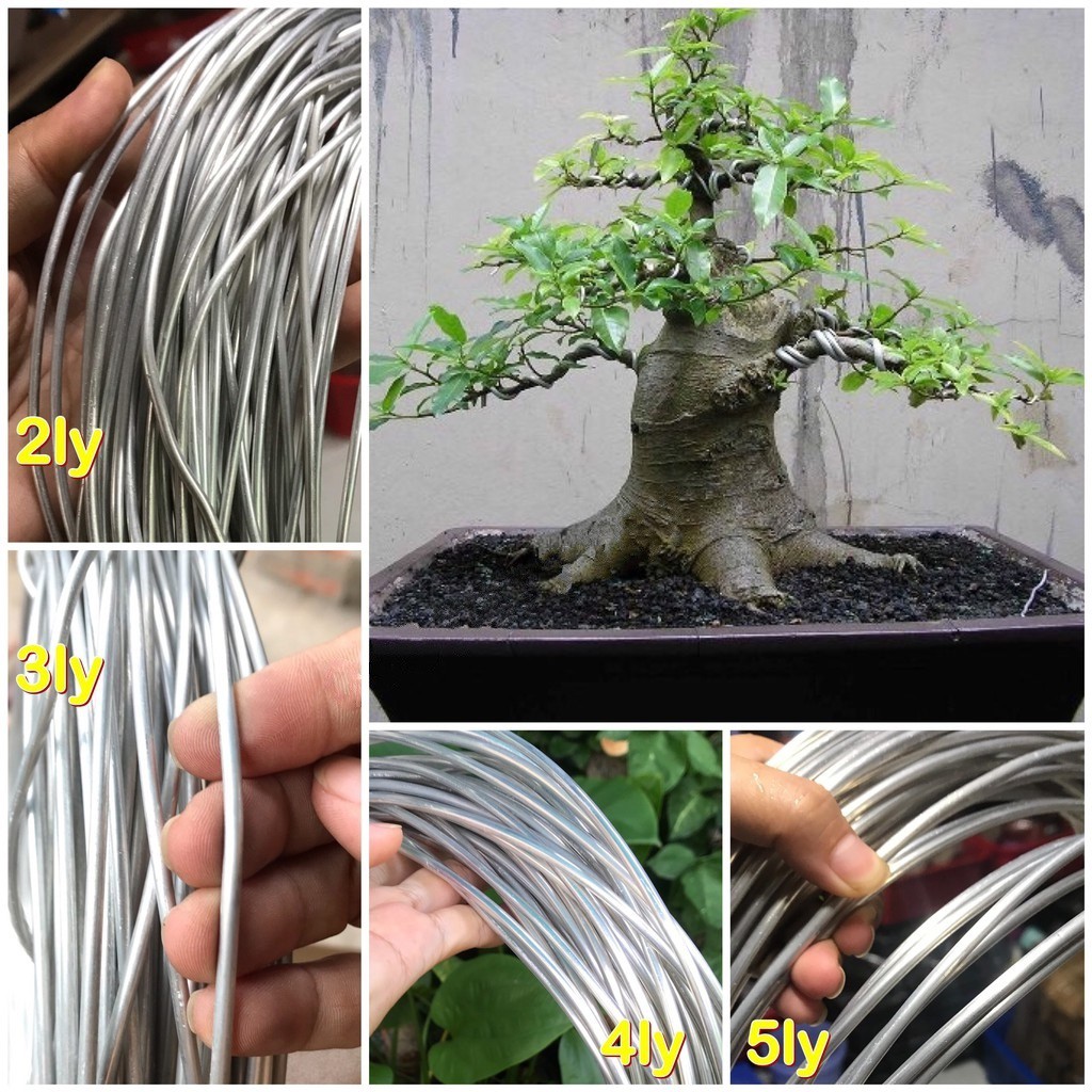 Dây nhôm trần quấn cây cảnh chuyên dùng uốn cây bonsai, cây cảnh 2ly ...