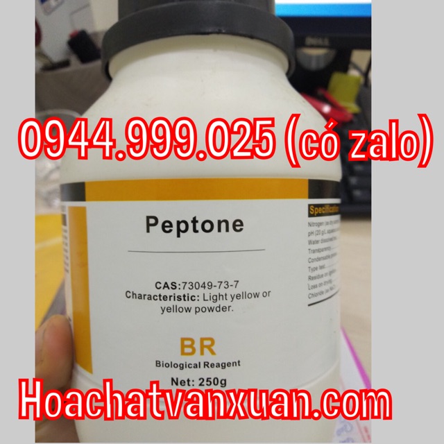Peptone lọ 250g pepton CAS 73049-73-7 nuôi cấy vi sinh đông trùng hạ ...