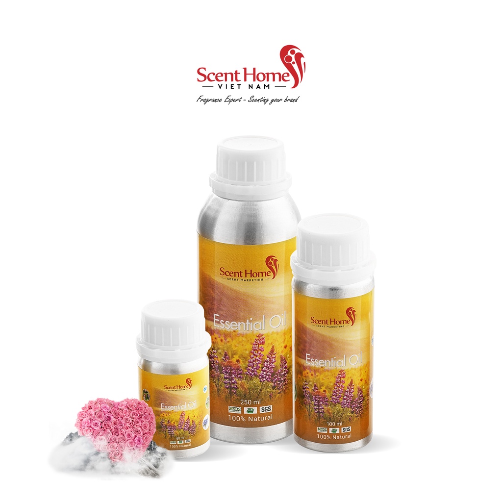 [Chính hãng] Tinh dầu Paris Valentine - Scent Homes (Paris Valentine - 50ml,100ml,250ml ...