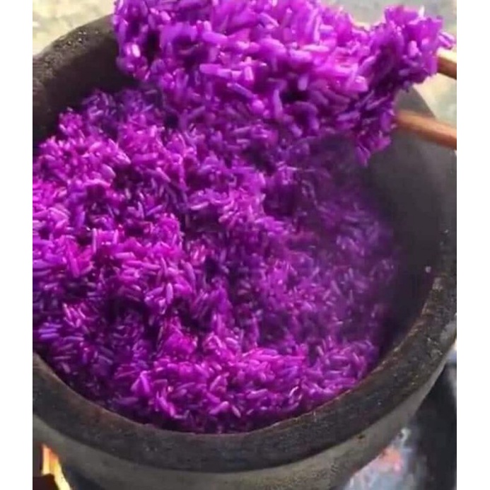 cây đồ xôi tím tươi 1kg | Shopee Việt Nam