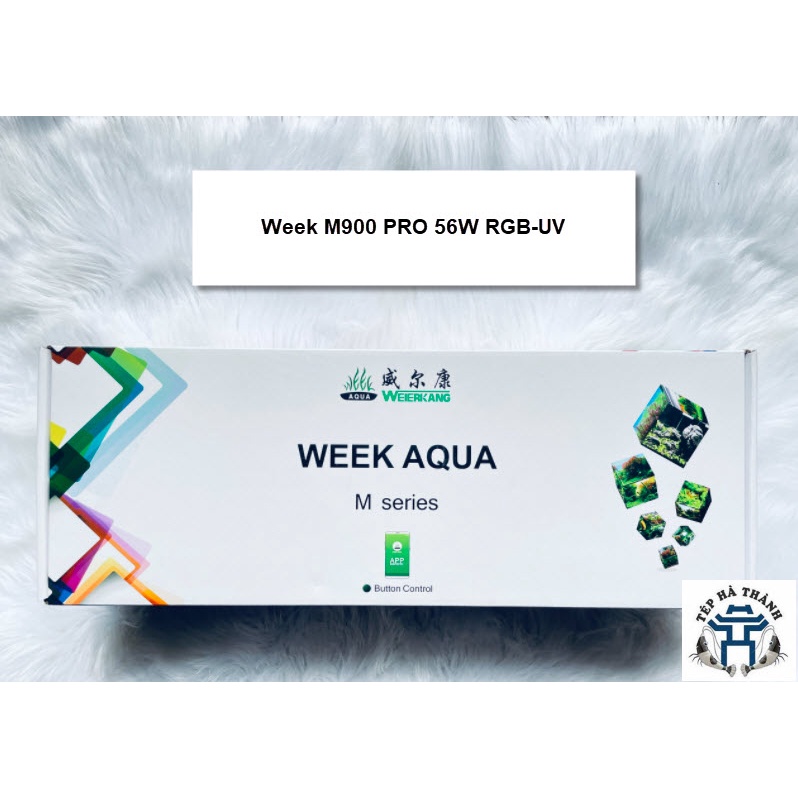 Đèn Week Raptor WRGB M900 Pro (M Series) Chính Hãng - Đèn Led Cao Cấp ...