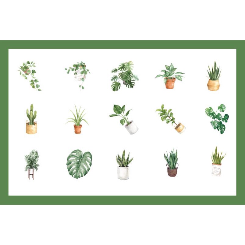 Hộp 46 sticker hình dán cây cối hoa lá trang trí | Shopee Việt Nam