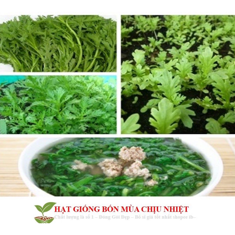 GÓI 150 HẠT GIỐNG RAU TẦN Ô ĐẾN MÙA TRỒNG TẾT | Shopee Việt Nam