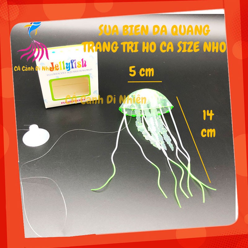 Sứa dạ quang trang trí hồ cá cảnh sứa biển size Nhỏ 14x5 cm | Shopee ...