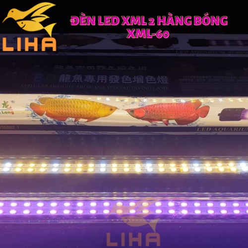 Đèn Led XML 2 Hàng Bóng XML-60 - Led Thủy Tinh Xuanmeilong Chuyên Dụng Cho Cá Cảnh | Shopee Việt Nam