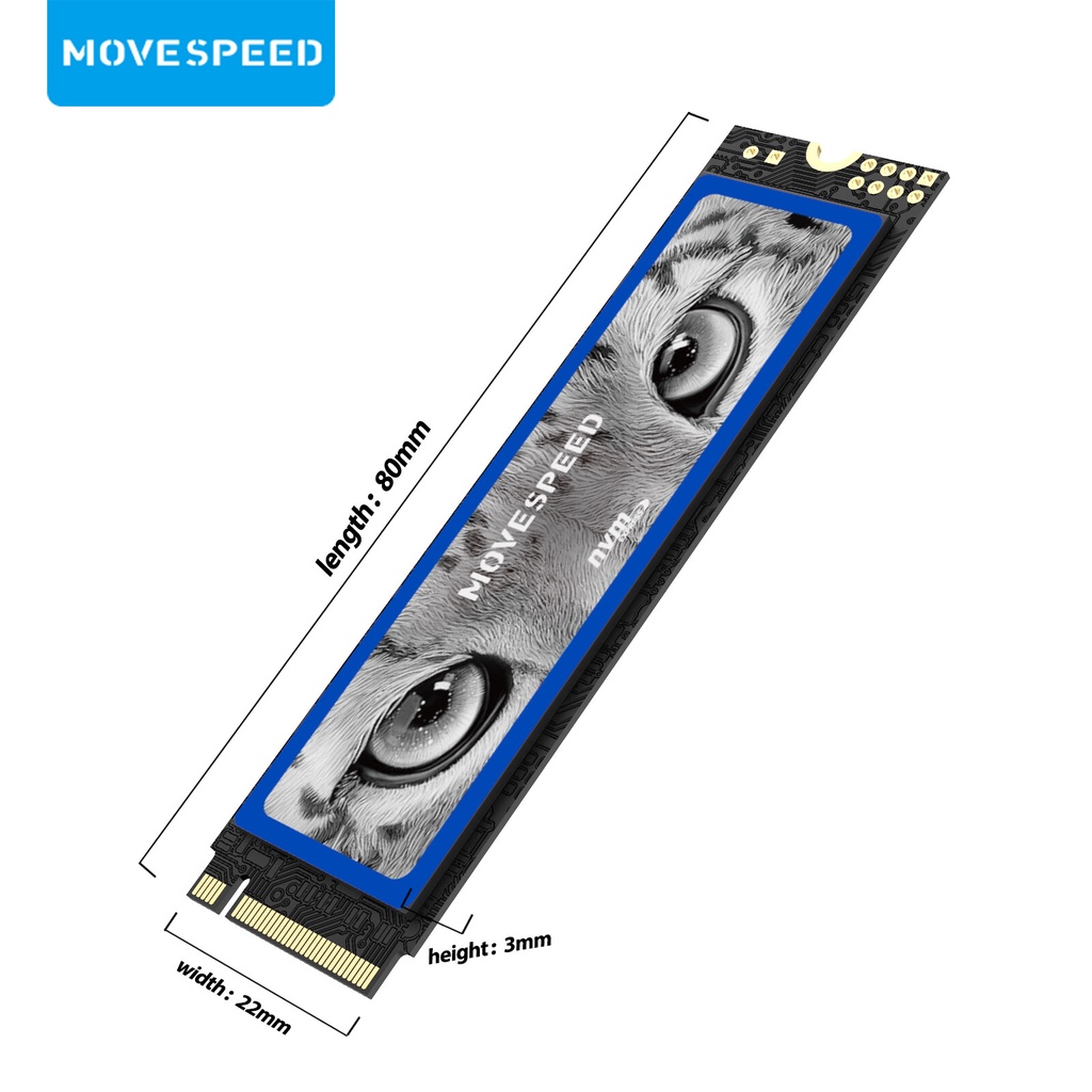 Ổ cứng ssd MOVE SPEED NVMe 256GB PCIe có DRAM Gen3x4 M.2 2280 - Full ...