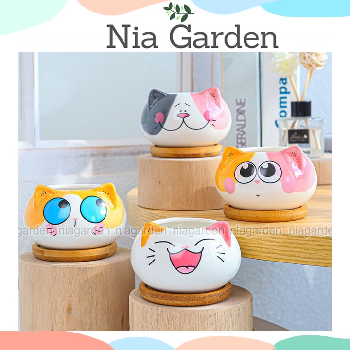 Chậu cây mèo mini trồng sen đá xương rồng nhỏ cây để bàn trang trí góc ...