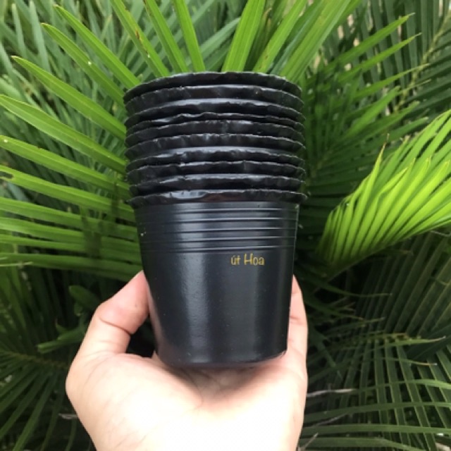 10 chậu nhựa đen C2, C3, C4, C5, C6, C7, C8, C9 size nhỏ loại dày dẻo ...
