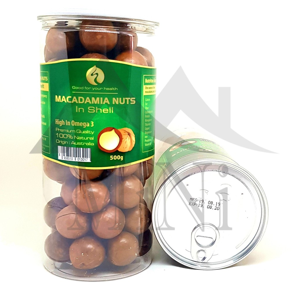 Macca Nứt Vỏ Nhập Khẩu Úc_Hộp 500gr (Tăng Kèm Đồ Tách Vỏ) | Shopee Việt Nam