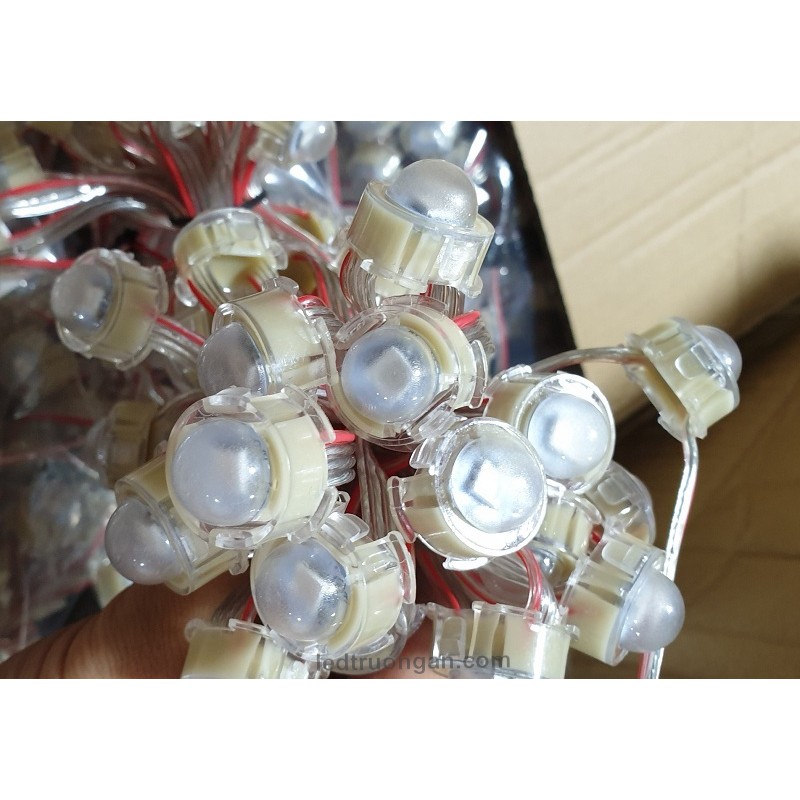 Led full 8206 tự nháy - đế 20 mm - dùng nguồn 12V | Shopee Việt Nam