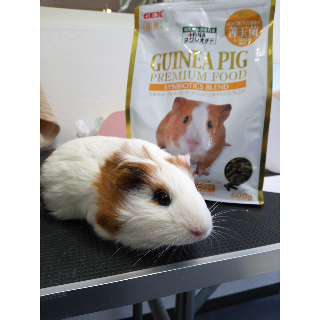 GEX Guinea Pig Premium Food túi 600g Hàng nhập khẩu Nhật Bản | Shopee Việt Nam