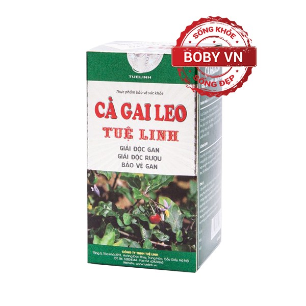 Cà gai leo Tuệ Linh - Giúp gan khoẻ mạnh - Hộp 60v | Shopee Việt Nam