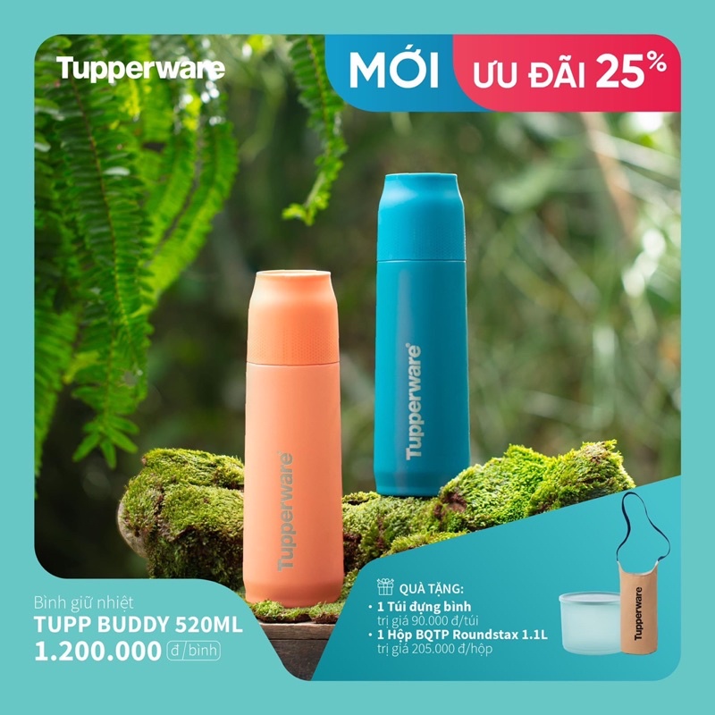 Bình giữ nhiệt 520ml Tupperware Tupp Buddy | Shopee Việt Nam