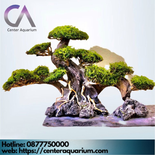 LAYOUT Bonsai Trang Trí Bể Thủy Sinh Bể Cá Cảnh | Shopee Việt Nam