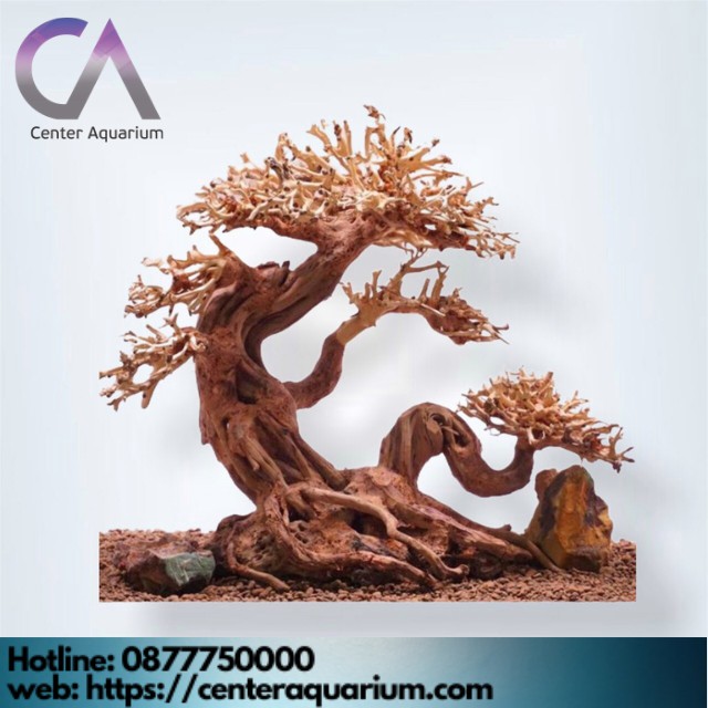 LAYOUT Bonsai Trang Trí Bể Thủy Sinh Bể Cá Cảnh | Shopee Việt Nam