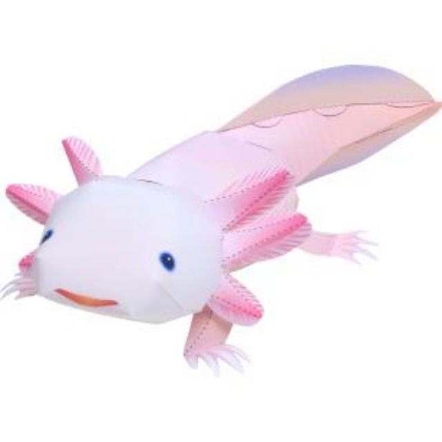 Mô hình giấy Động Vật kỳ giông Mexico (Axolotl) | Shopee Việt Nam