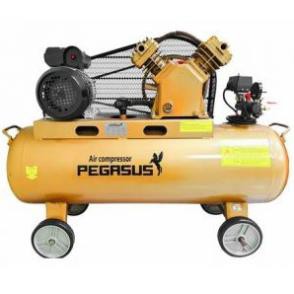 [Chính Hãng] Máy Nén Khí Dây Đai Pegasus TM-V-0.17/8 120L | Shopee Việt Nam