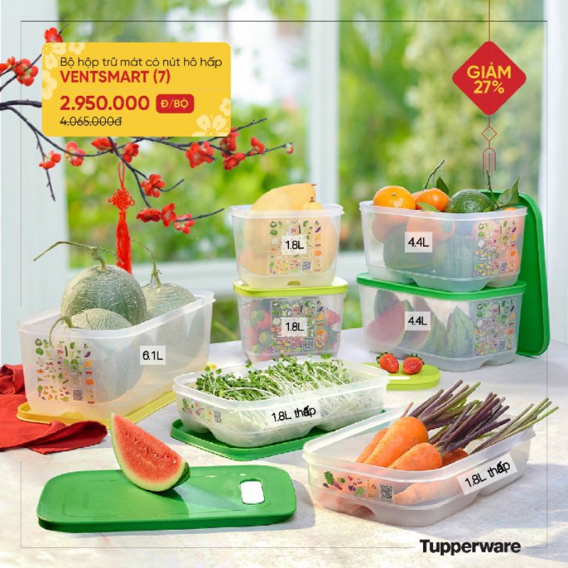 Ventsmart 7 Tupperware | Shopee Việt Nam