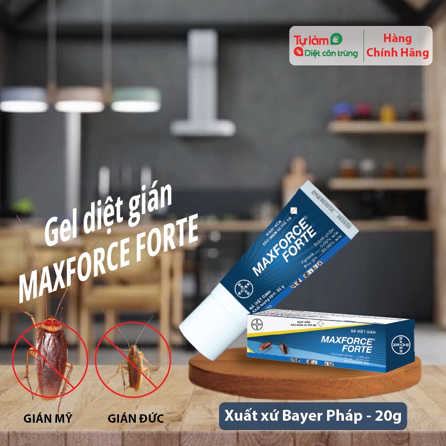 Thuốc Diệt Gián Đức Chung Cư, Văn Phòng MAXFORCE FORTE Dạng Bả Gel Dùng ...