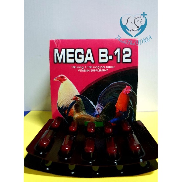 1 VỈ MEGA B12 DINH DƯỠNG CHO GÀ ĐÁ MAU LÊN NƯỚC MÁU | Shopee Việt Nam