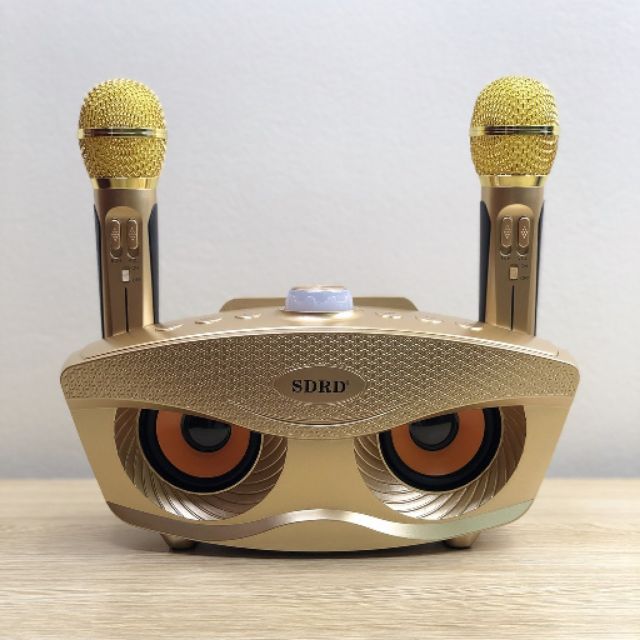 LOA Karaoke MINI. 2 MIC KẾT NỐI Bluetooth .bh 6 tháng | Shopee Việt Nam