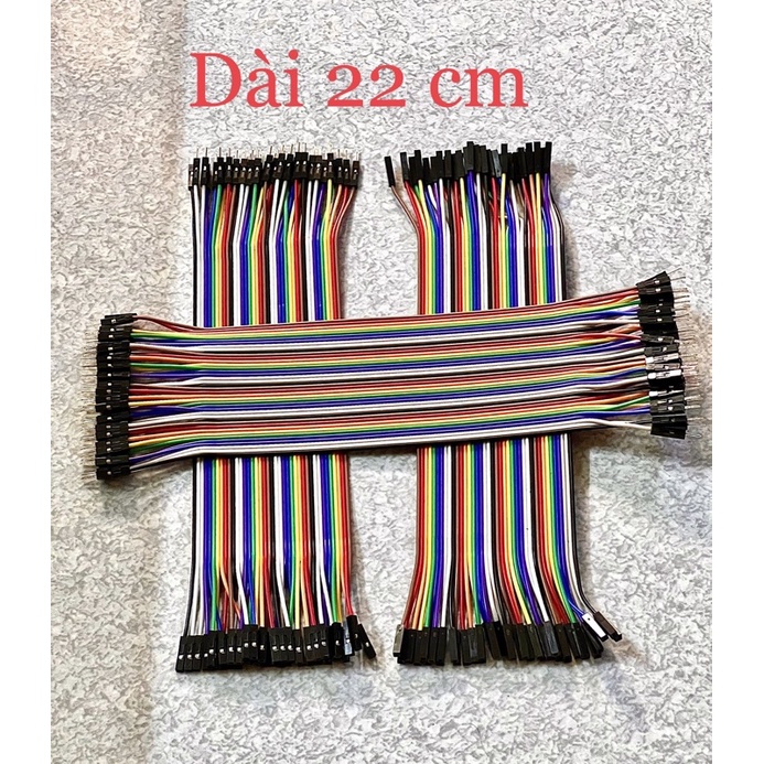Dây cắm test board 40 pin dài 22cm | Shopee Việt Nam