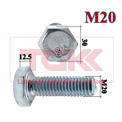 Bulong mạ kẽm M20 (120-200mm) | Shopee Việt Nam