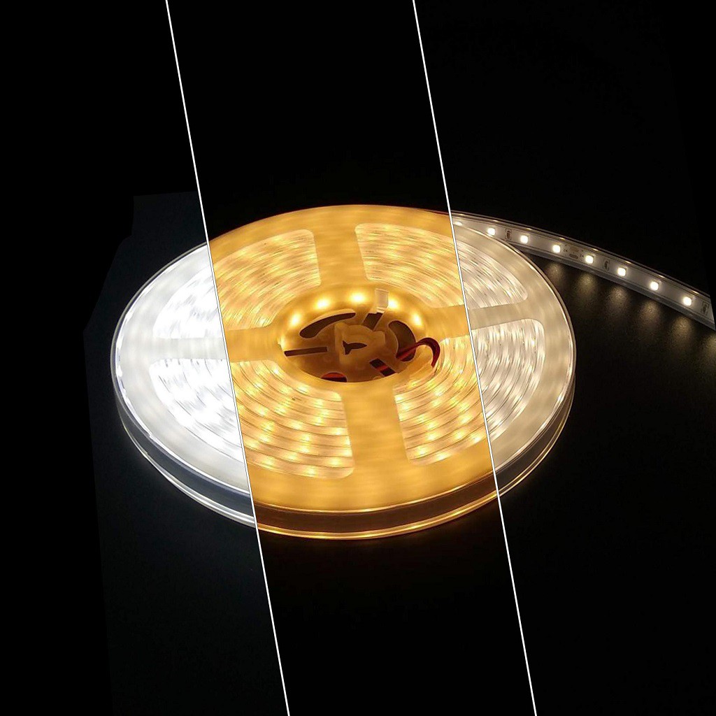 Đèn LED Dây Paragon LED5050 – 14.4W - Ánh Sáng Vàng/ Trung Tính/ Trắng. Hàng Chính Hãng ...