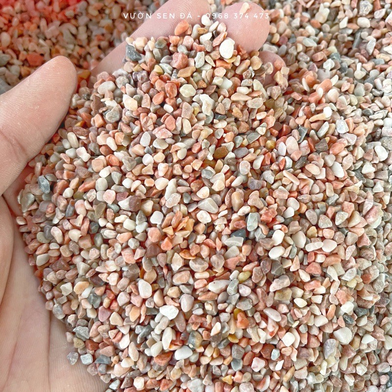 Sỏi hồng cam 2-3mm (1kg) - Vườn sen đá | Shopee Việt Nam