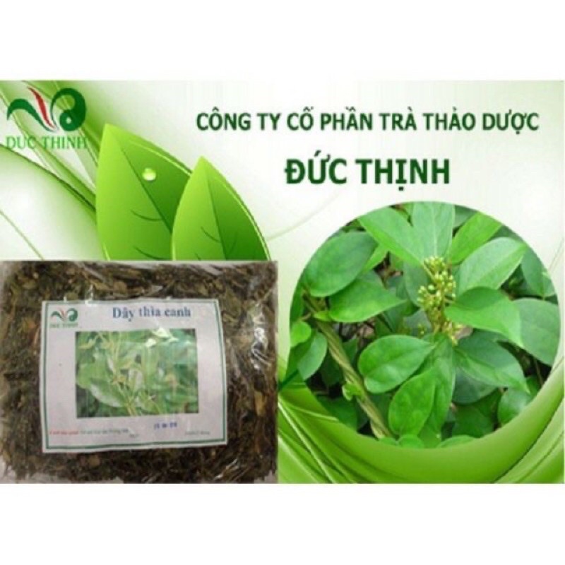 DÂY THÌA CANH Handmade | Shopee Việt Nam