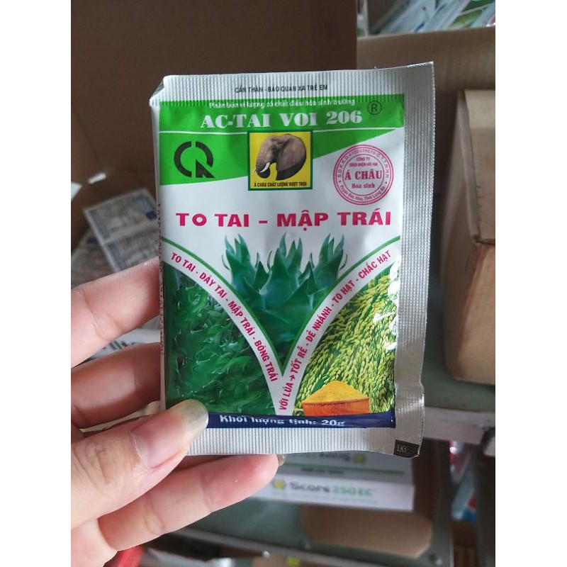 Bộ 5 gói To Tai Mập trái AC Tai Voi 206 chuyên dùng cho Thanh long ...