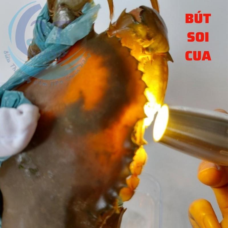 Đèn soi tiền giả, đèn soi đá quý, giấy tờ, đèn soi cua, đèn soi trứng ...