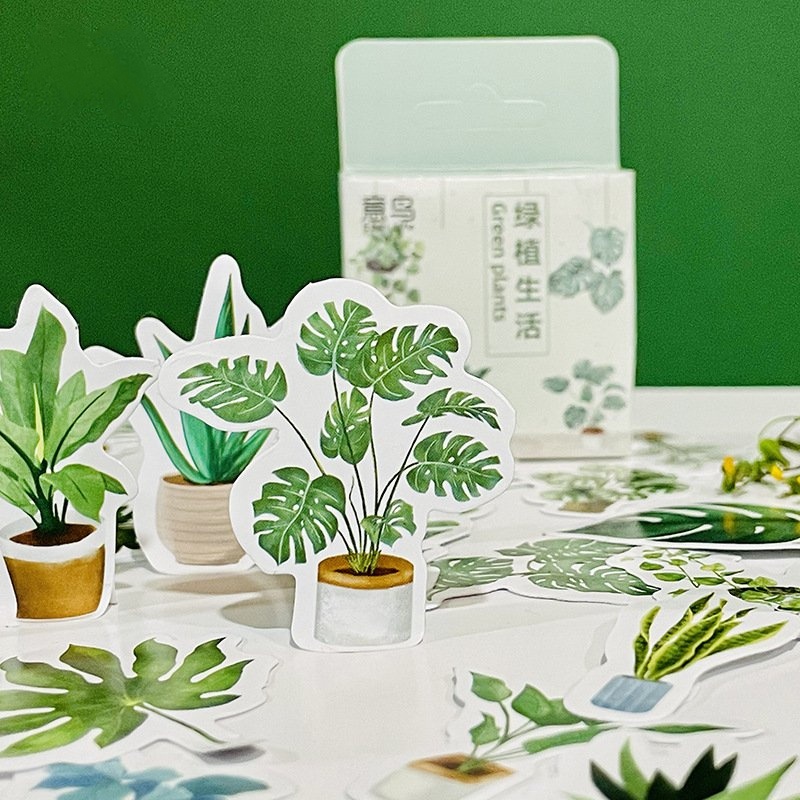Hộp 46 sticker hình dán cây cối hoa lá trang trí | Shopee Việt Nam