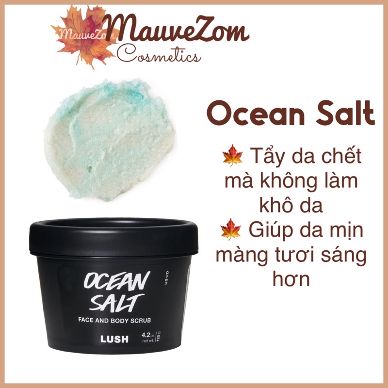 Tẩy da chết LUSH - Ocean Salt (size nhỏ) | Shopee Việt Nam