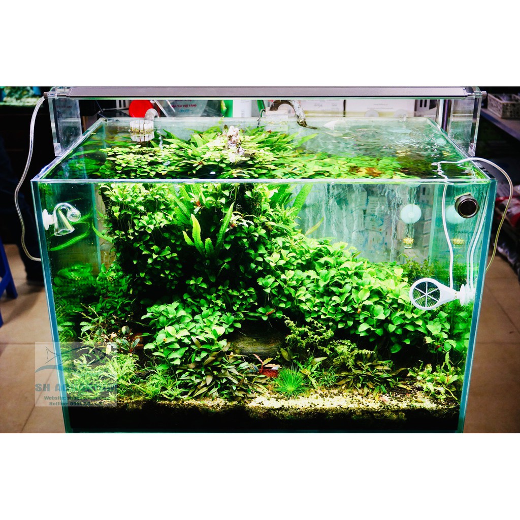 Đèn WRGB Week Aqua Pro series M450, M600 | Shopee Việt Nam