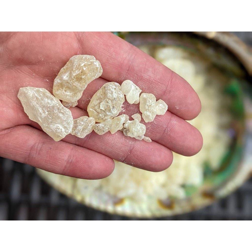 Nhựa thơm (Resin) - Myrrh - Frankincense - Palo Santo - Copal - Dragon ...