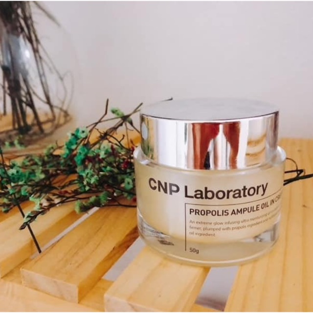 Kem Dưỡng CNP Laboratory Propolis Ampule Oil in Cream 50ml | Shopee ...