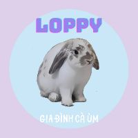 Loppy - Giá Tốt, Miễn Phí Vận Chuyển, Đủ Loại | Shopee Việt Nam