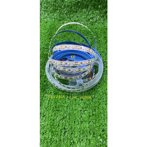 dây led dán 12v 2835-120 led/m 5m | Shopee Việt Nam