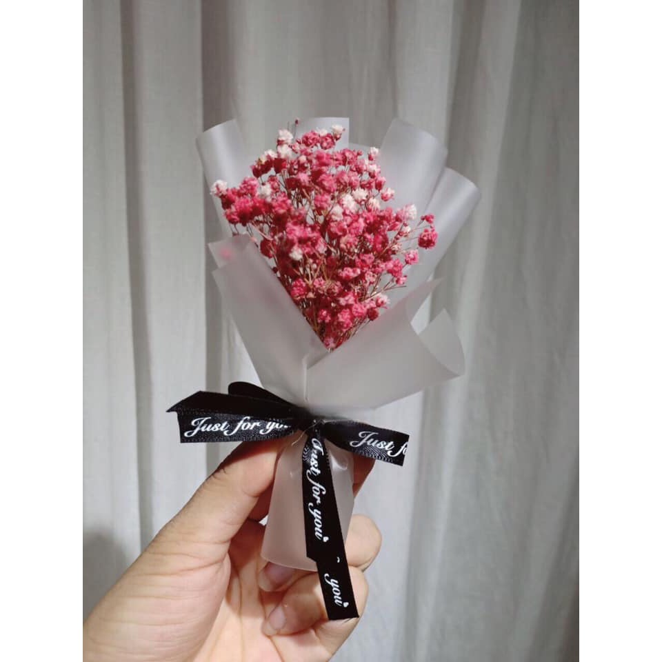 bó hoa baby mini | Shopee Việt Nam
